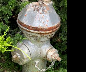 Clow hydrant spotted at Ft. Worth Botanical Gardens - Kennedy Valve