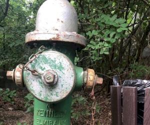 Kennedy hydrant spotted at Bronx Zoo - Kennedy Valve
